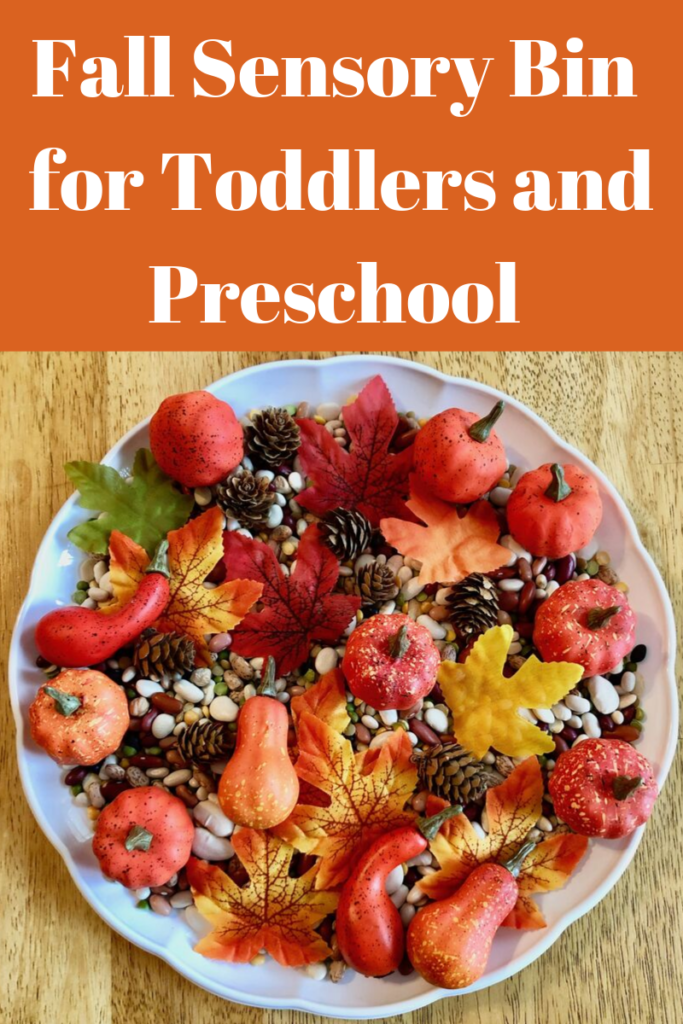Fall Sensory Bin for Toddlers and Preschool – Continually Learning