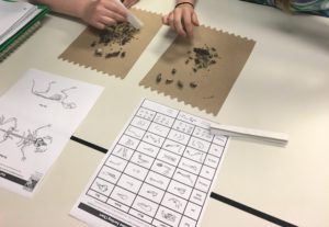 Owl Pellet Lab: Hands On Science Lesson for Middle School or Upper ...
