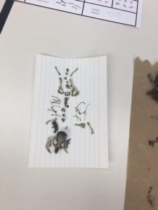 Owl Pellet Lab: Hands On Science Lesson for Middle School or Upper ...